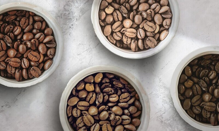 De'Longhi – DeLonghi Chile